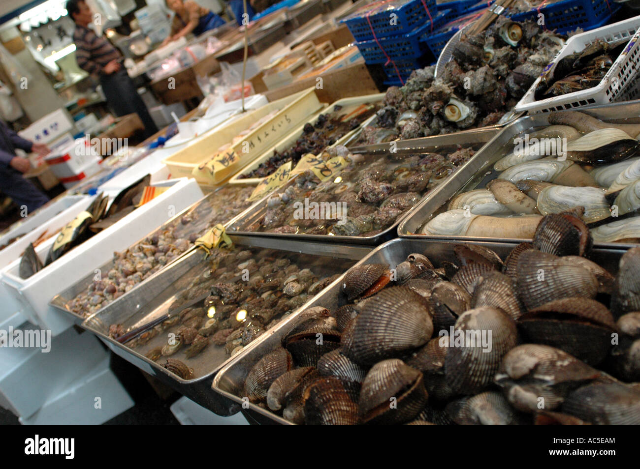 Fish for sale at Tsukiji fish market, Tokyo Japan Stock Photo - Alamy