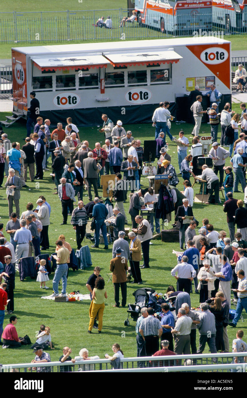 Crowd horse hi-res stock photography and images - Alamy