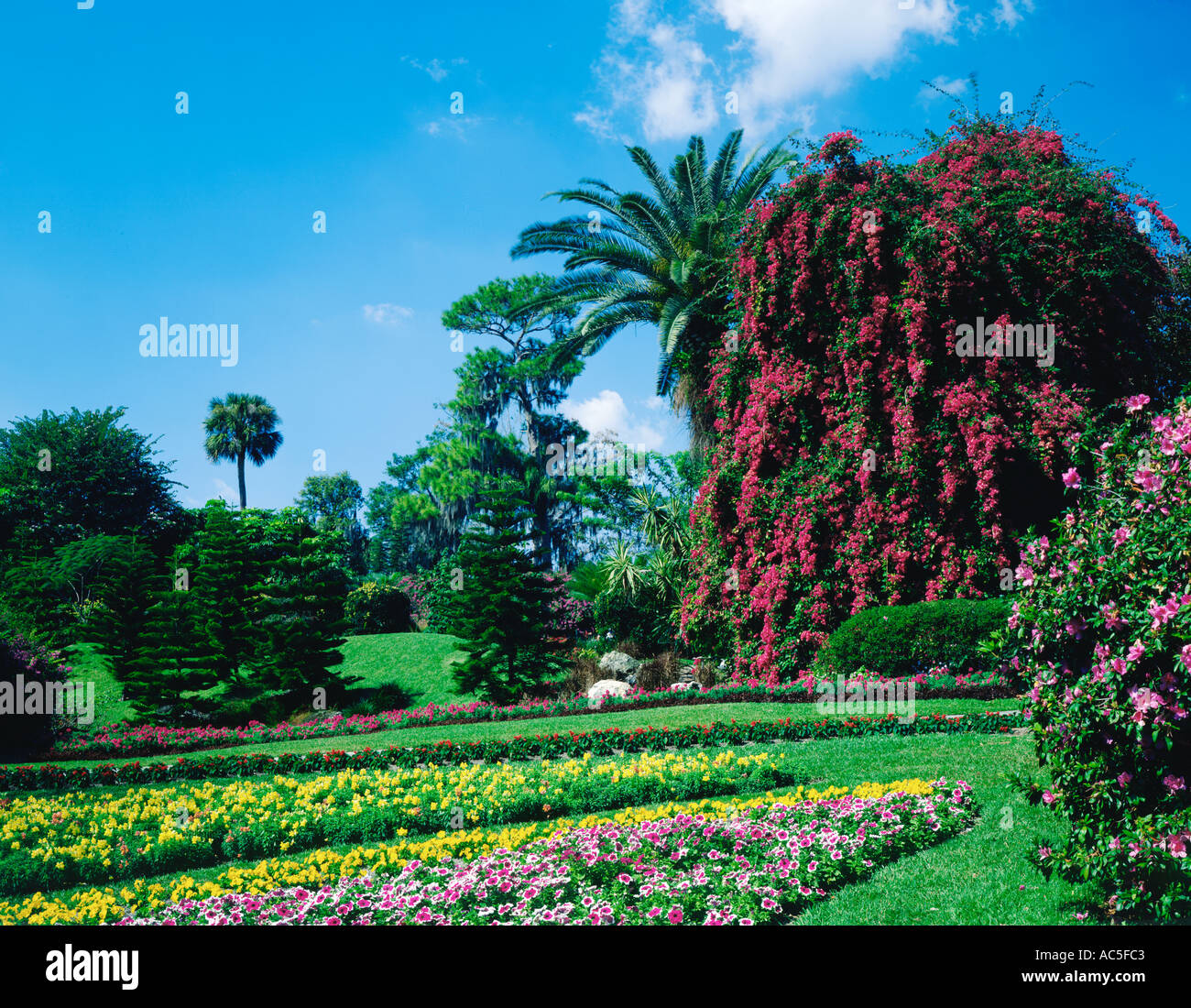 Florida cypress gardens theme park hi-res stock photography and images ...