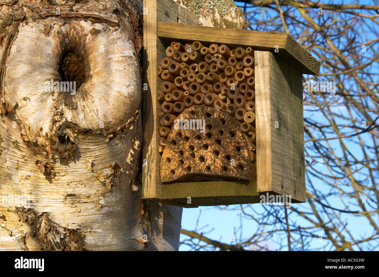 Solitary Bee Box Stock Photo - Alamy