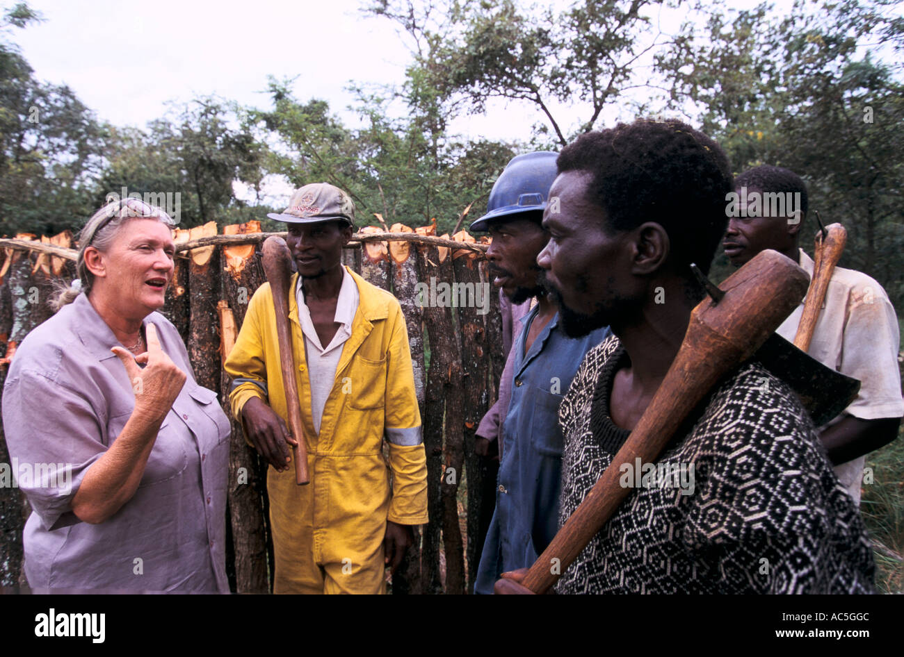 Farming rhodesia hi-res stock photography and images - Alamy
