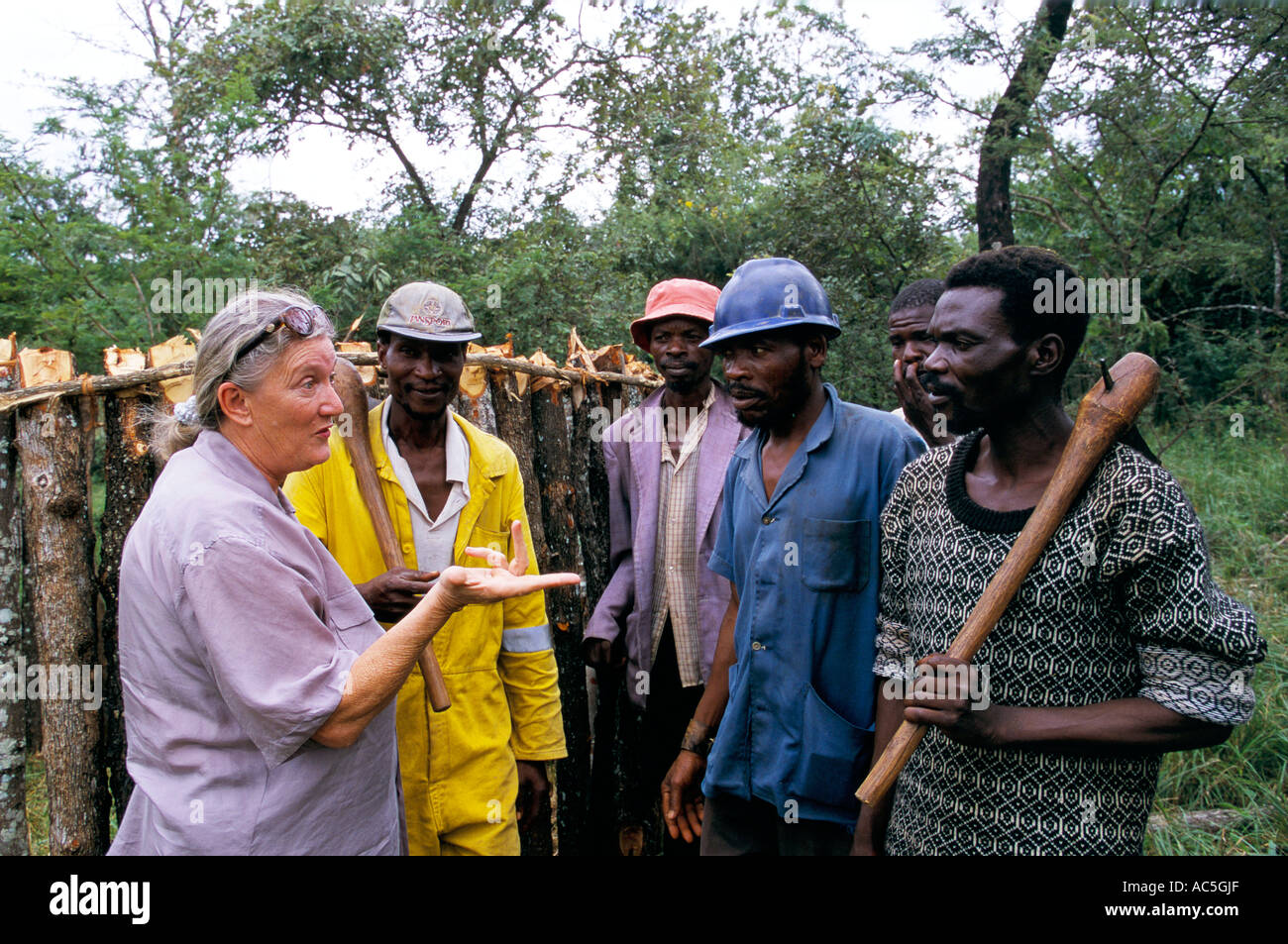 Zimbabwe white farmers hi-res stock photography and images - Alamy