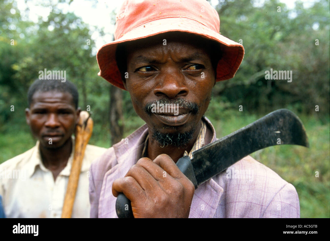 Zimbabwean tobacco farm hi-res stock photography and images - Alamy