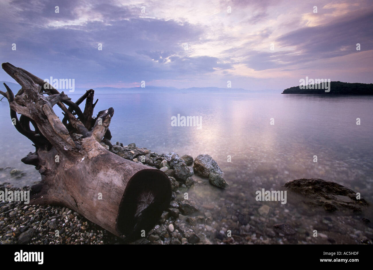Driftwood Dafni beach Corfu Stock Photo - Alamy