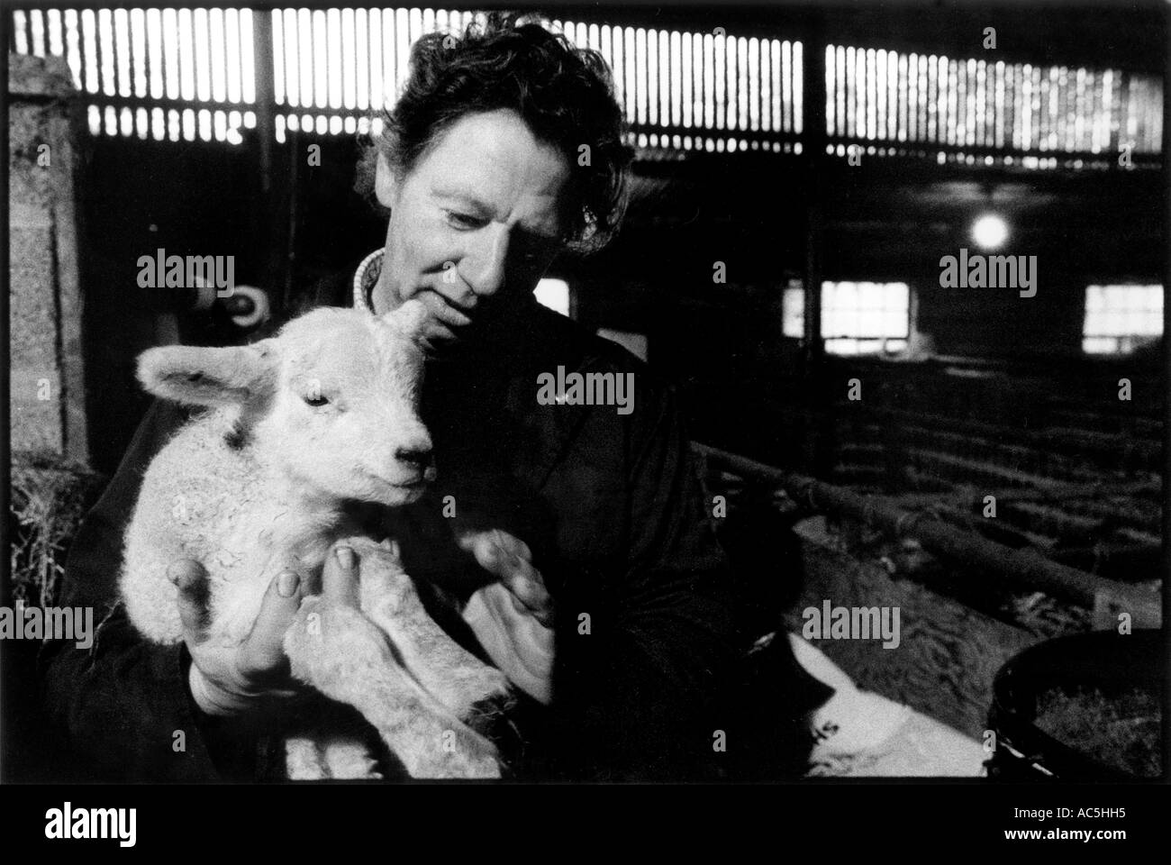 Foot and mouth agriculture Black and White Stock Photos & Images - Alamy
