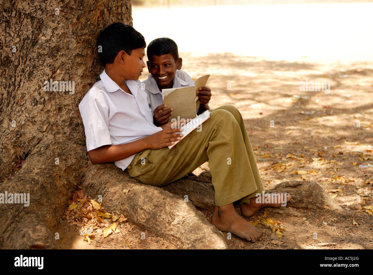 School Boys reading under a tree Saiapet Model Government School ...
