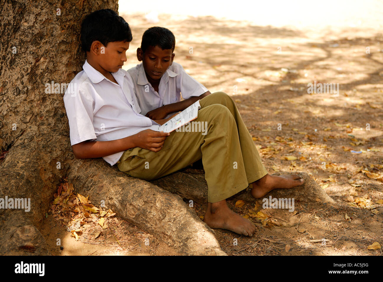 School Boys reading under a tree Saiapet Model Government School ...