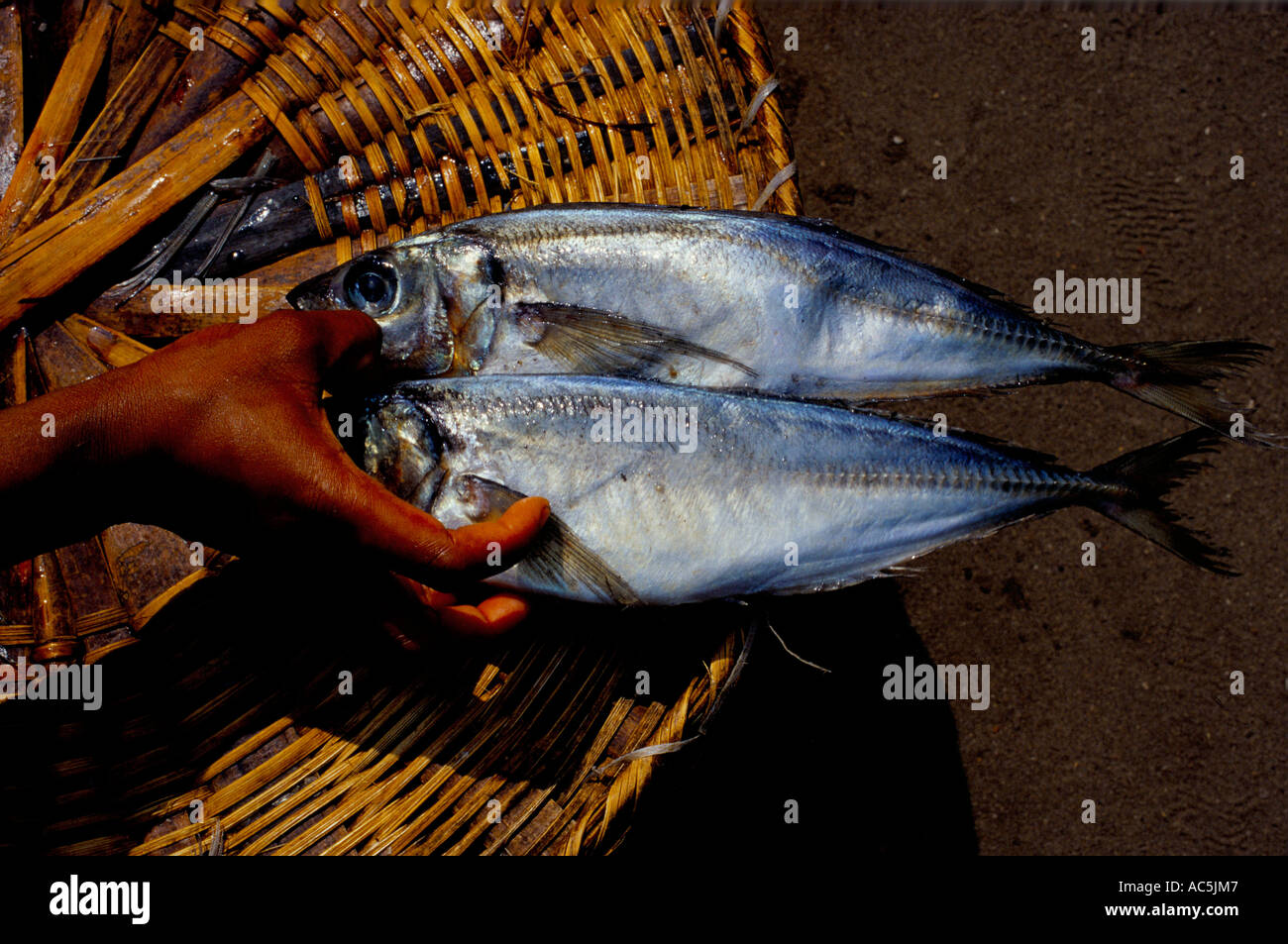 Lagos fish market hi-res stock photography and images - Alamy