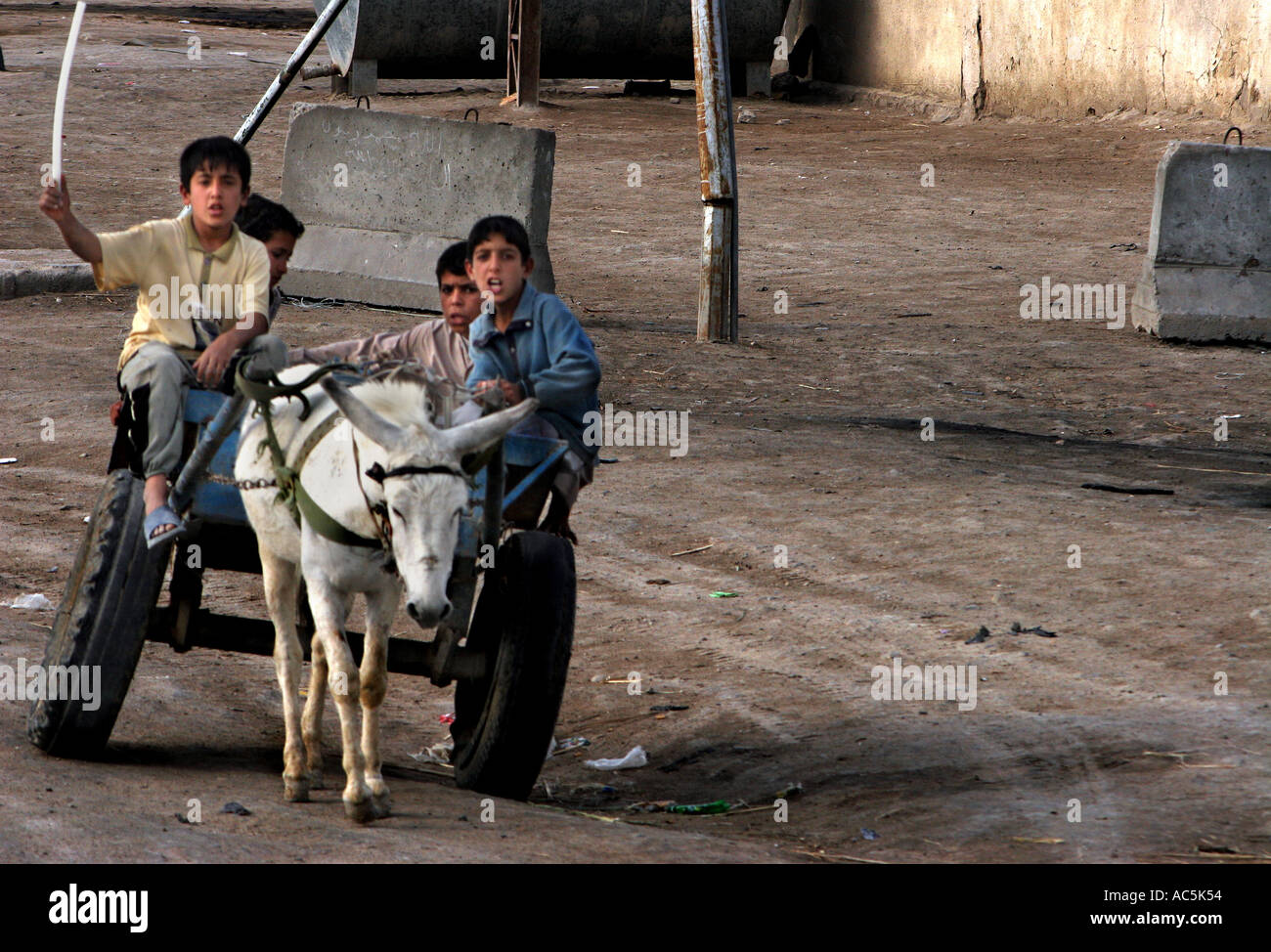 Iraq Basra Life 2005 Boys in central Basra whip the donkey in an ...