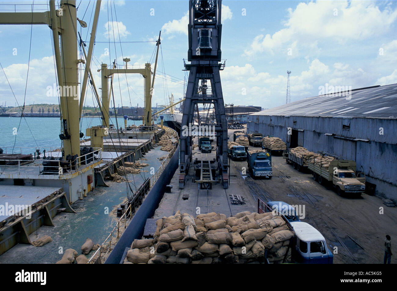 Crane unloading grain from ship hi-res stock photography and images - Alamy