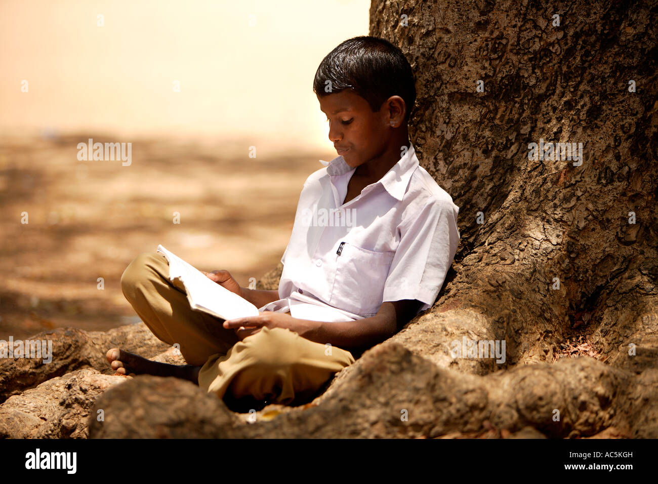 School Boy reading under a tree Saiapet Model Government School Chennai ...