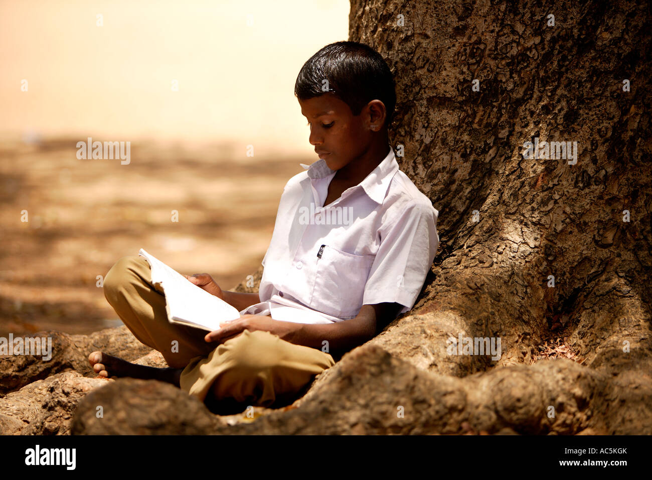 School Boy reading under a tree Saiapet Model Government School Chennai ...