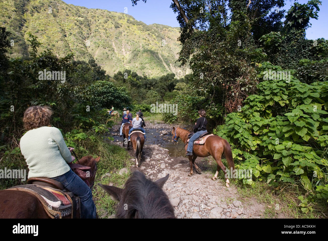 Naalapa hi-res stock photography and images - Alamy