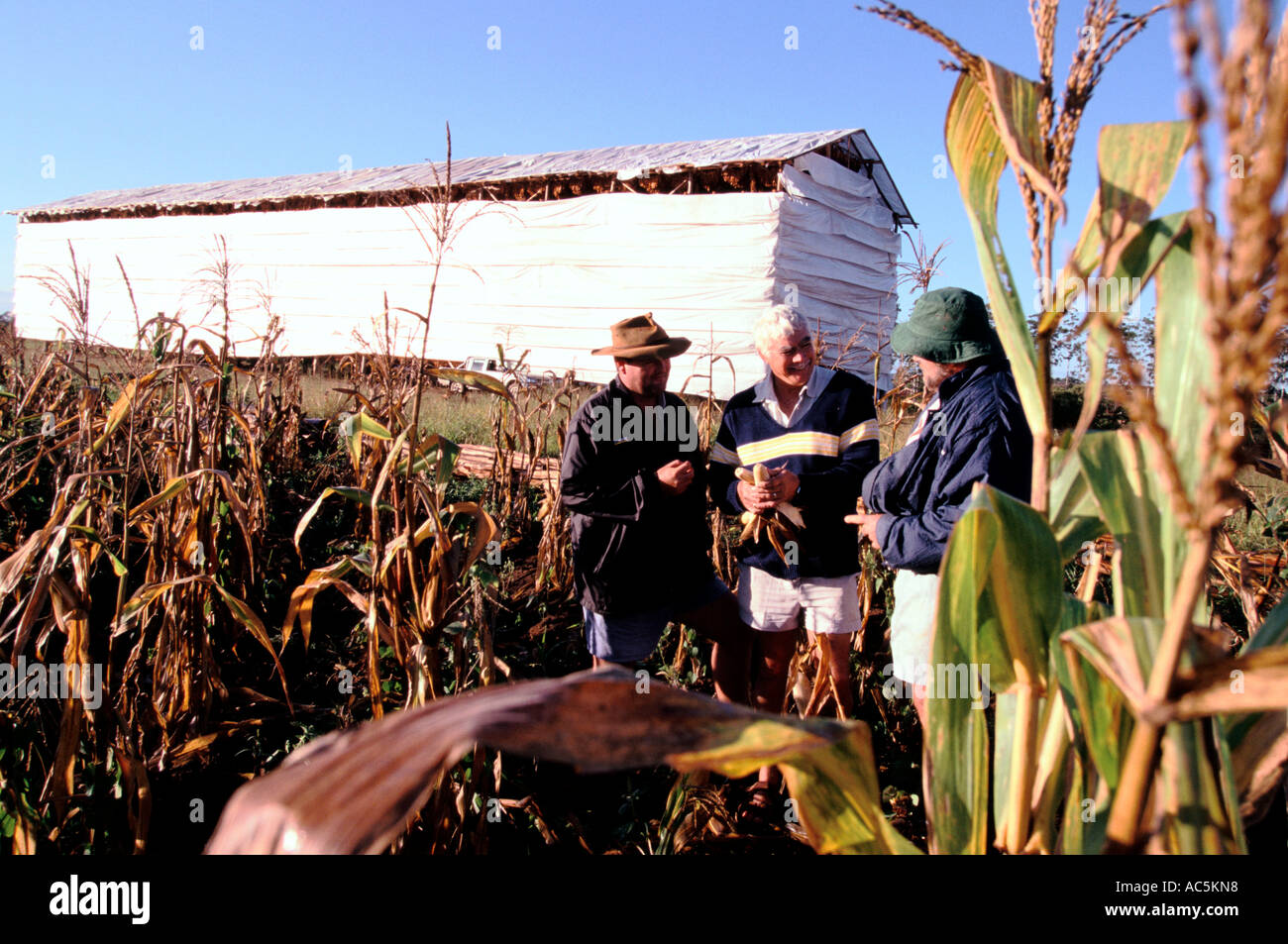 Farmer crop zimbabwe hi-res stock photography and images - Alamy