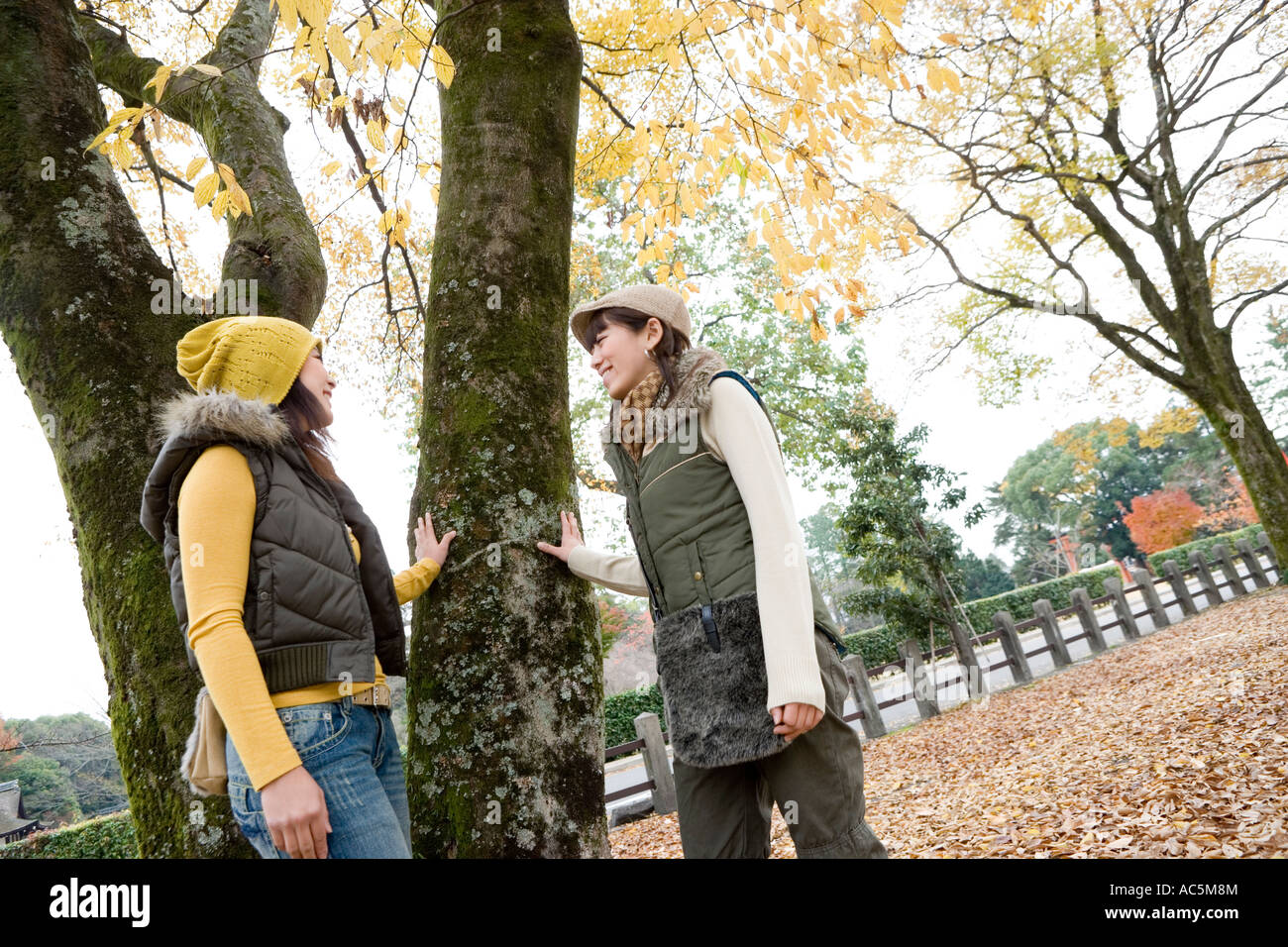 Two young women talking under tree Kamigamo Shrine Kyoto Prefecture ...
