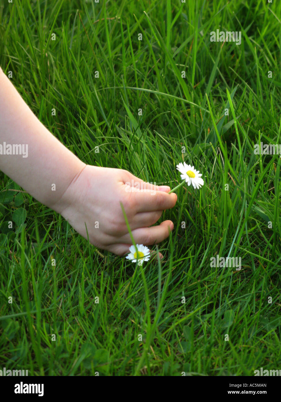 Arm mower hi-res stock photography and images - Alamy
