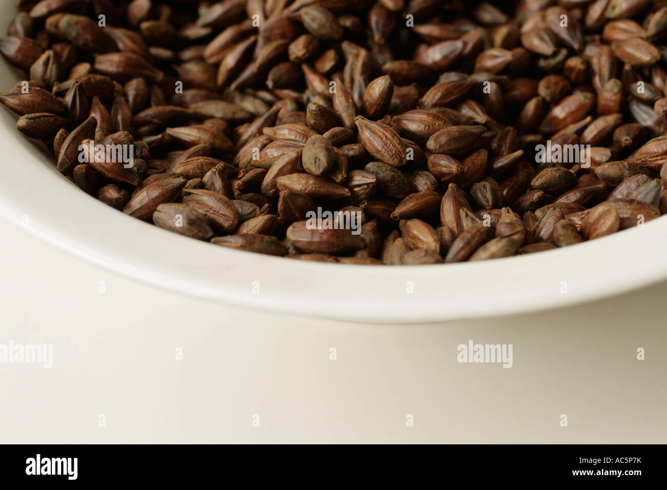 Malt for beer production close up Stock Photo - Alamy