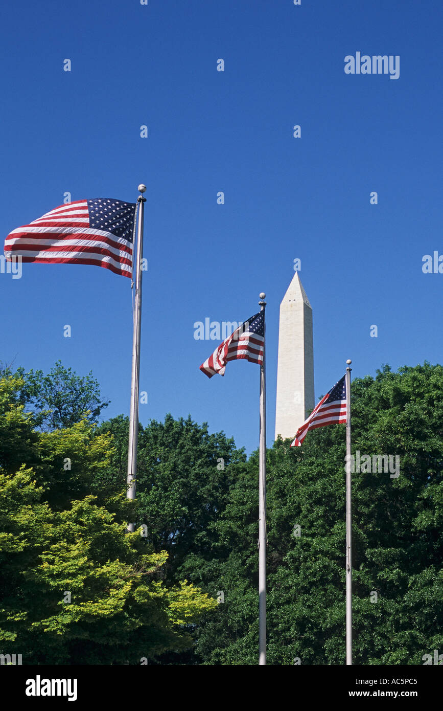 Washington DC US flags at National Museum of American History frame the ...