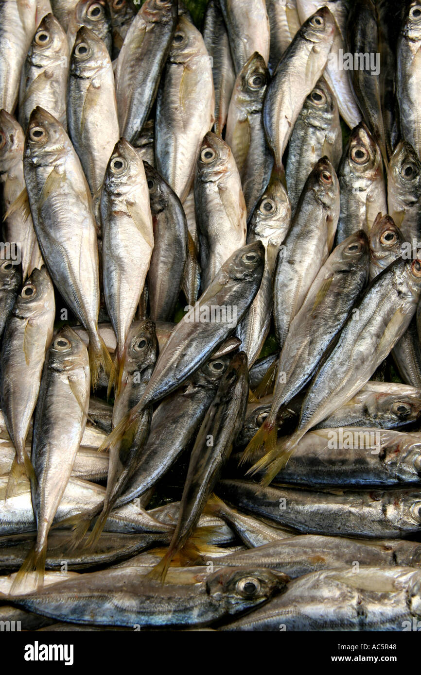 Balik Pazari High Resolution Stock Photography and Images - Alamy