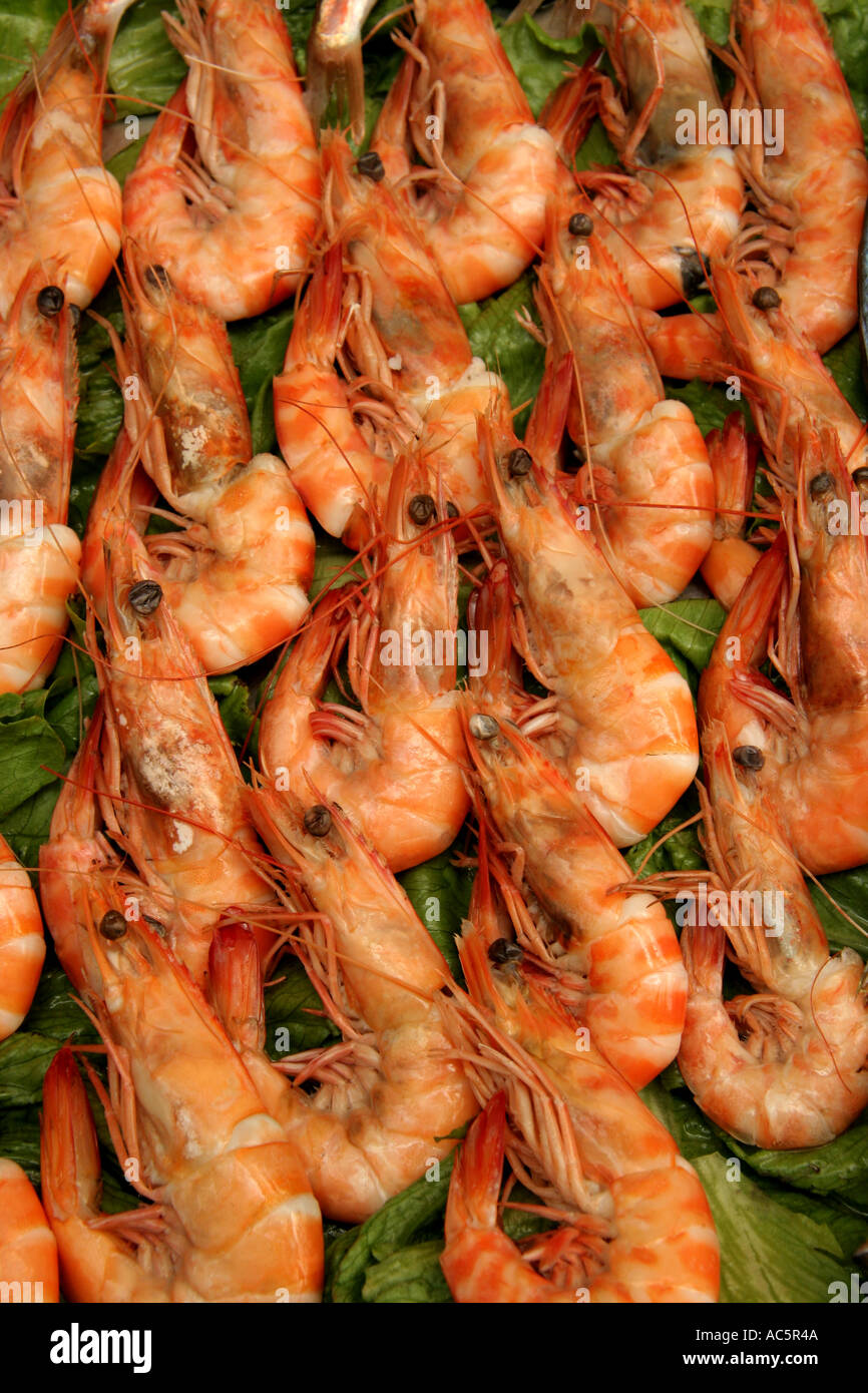 Balik pazari istanbul hi-res stock photography and images - Alamy