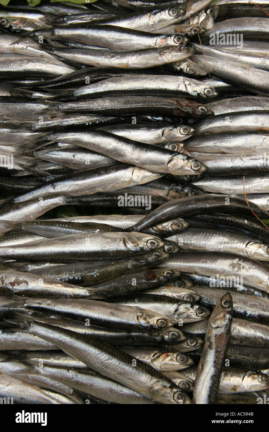 Balik Pazari High Resolution Stock Photography and Images - Alamy