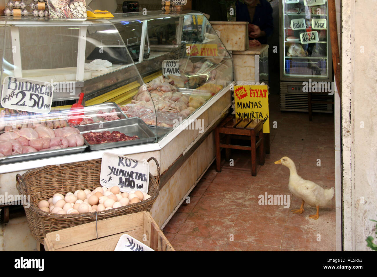 Europa Europe Tuerkei Türkei Turkey Istanbul Beyoglu Balik Pazari Ente ...