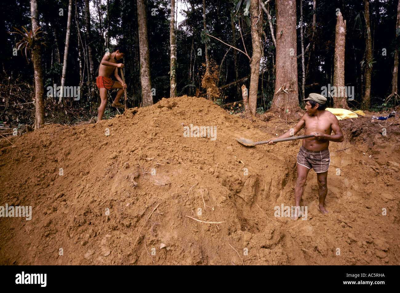 Mine gold digging hi-res stock photography and images - Alamy