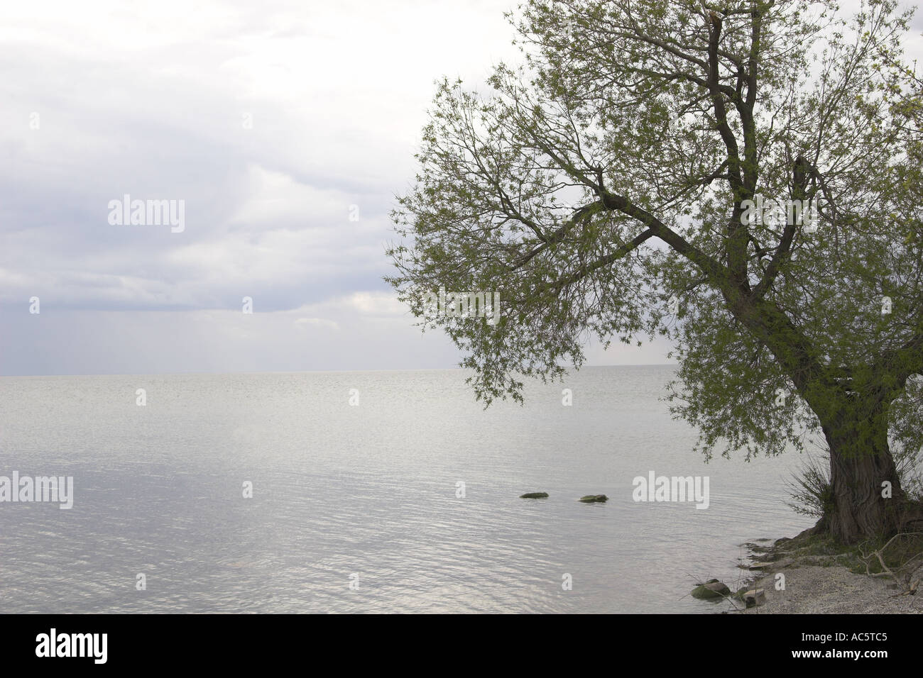 Hypnotic influences hi-res stock photography and images - Alamy