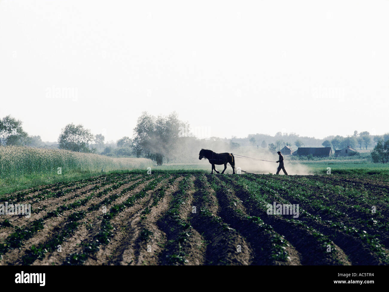 Silloute hi-res stock photography and images - Alamy