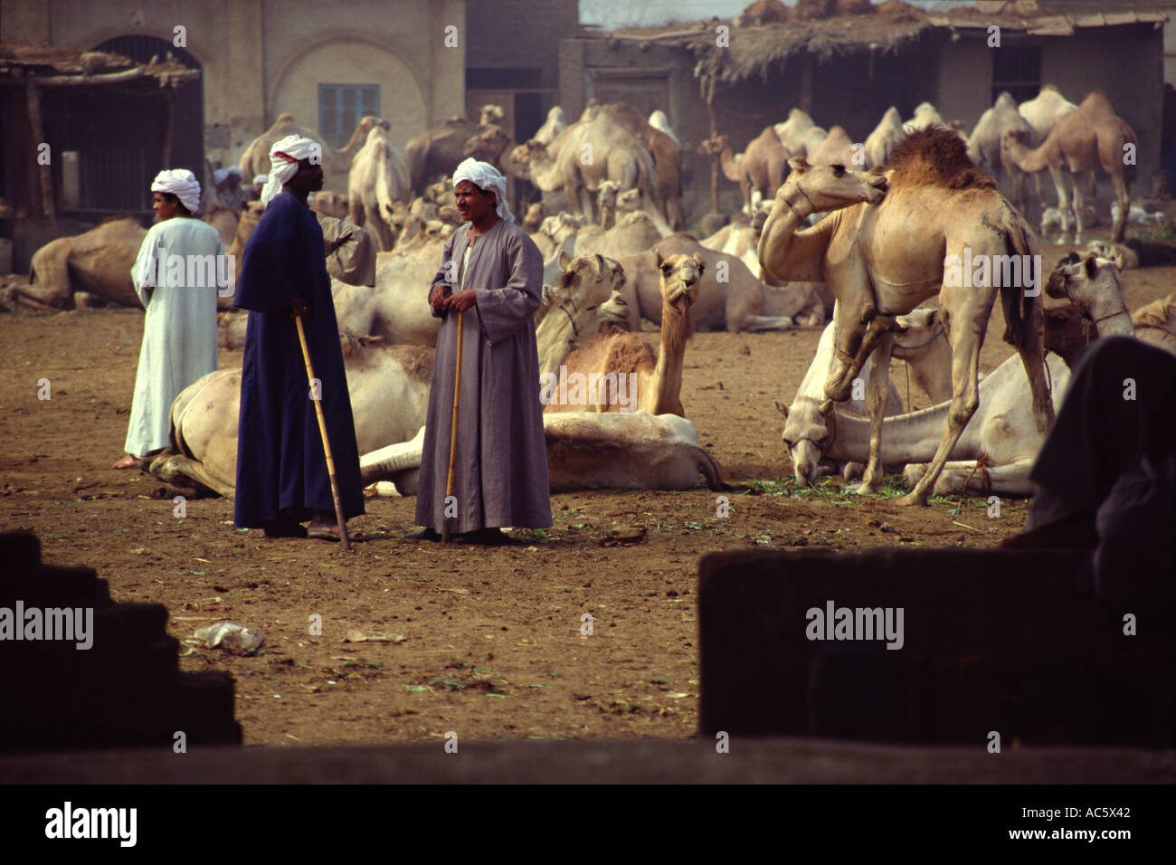 Ancient egyptian market scene hi-res stock photography and images - Alamy