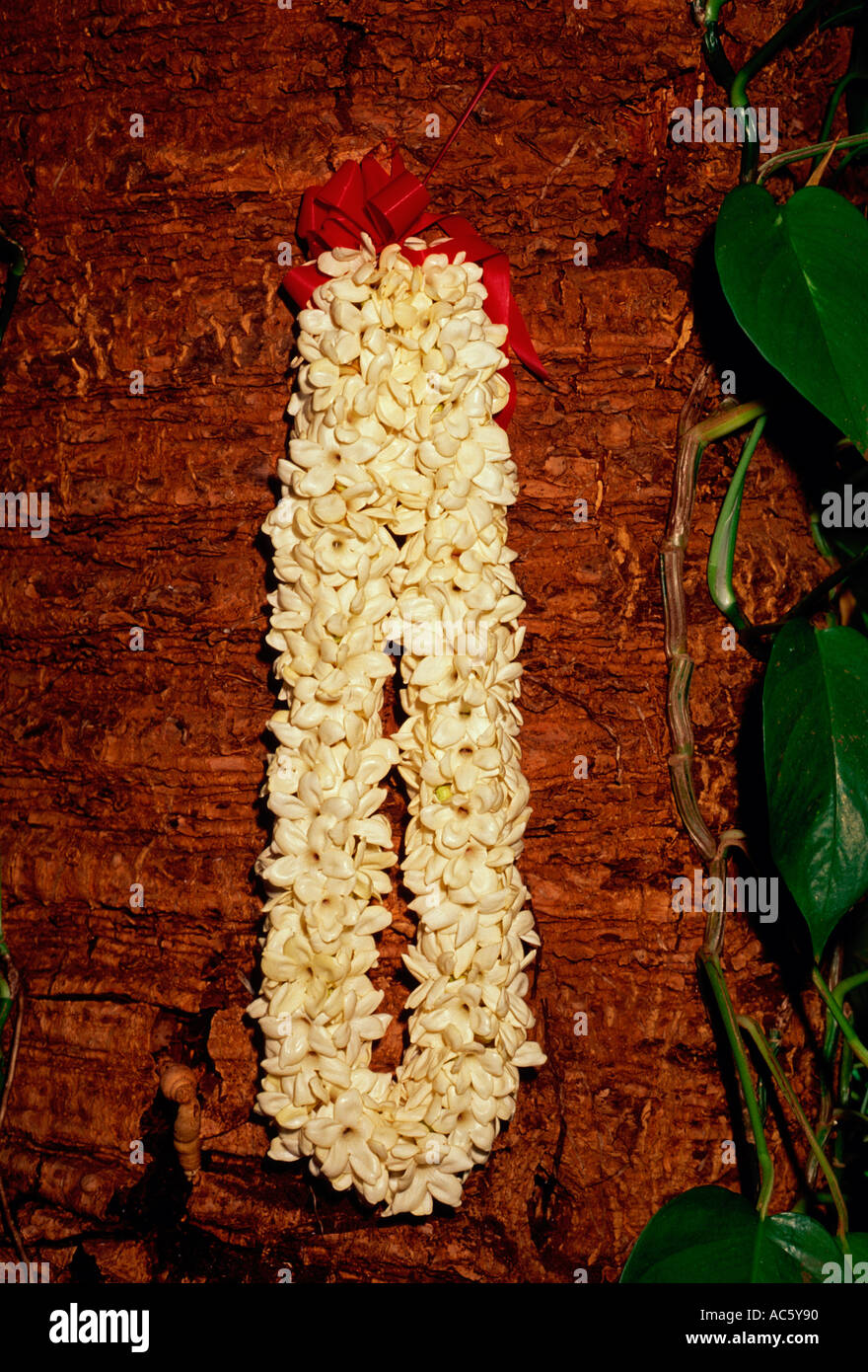 Kui leis hi-res stock photography and images - Alamy