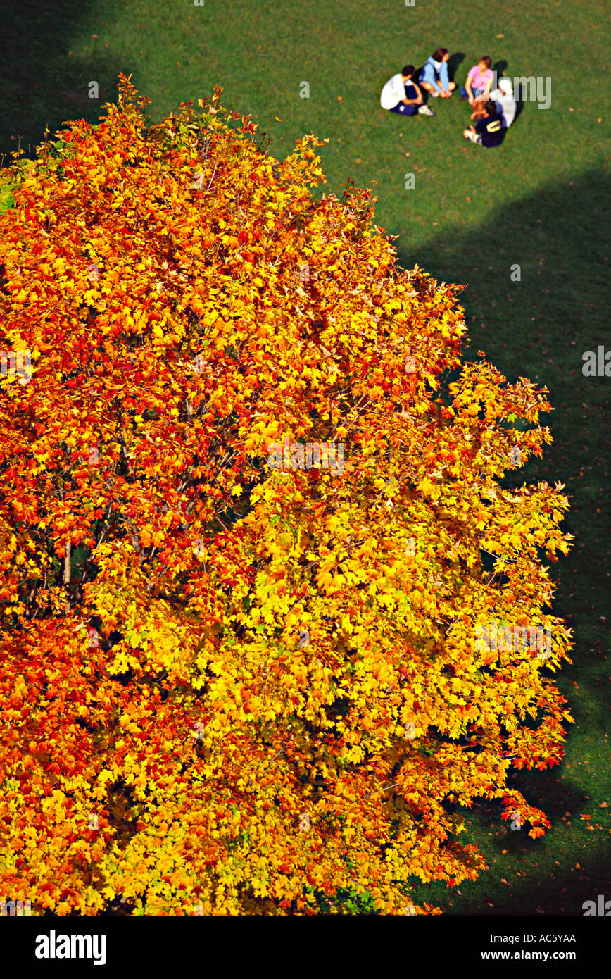 Group of students sitting in grass under Fall Foliage 18 19 Years 20 25 ...