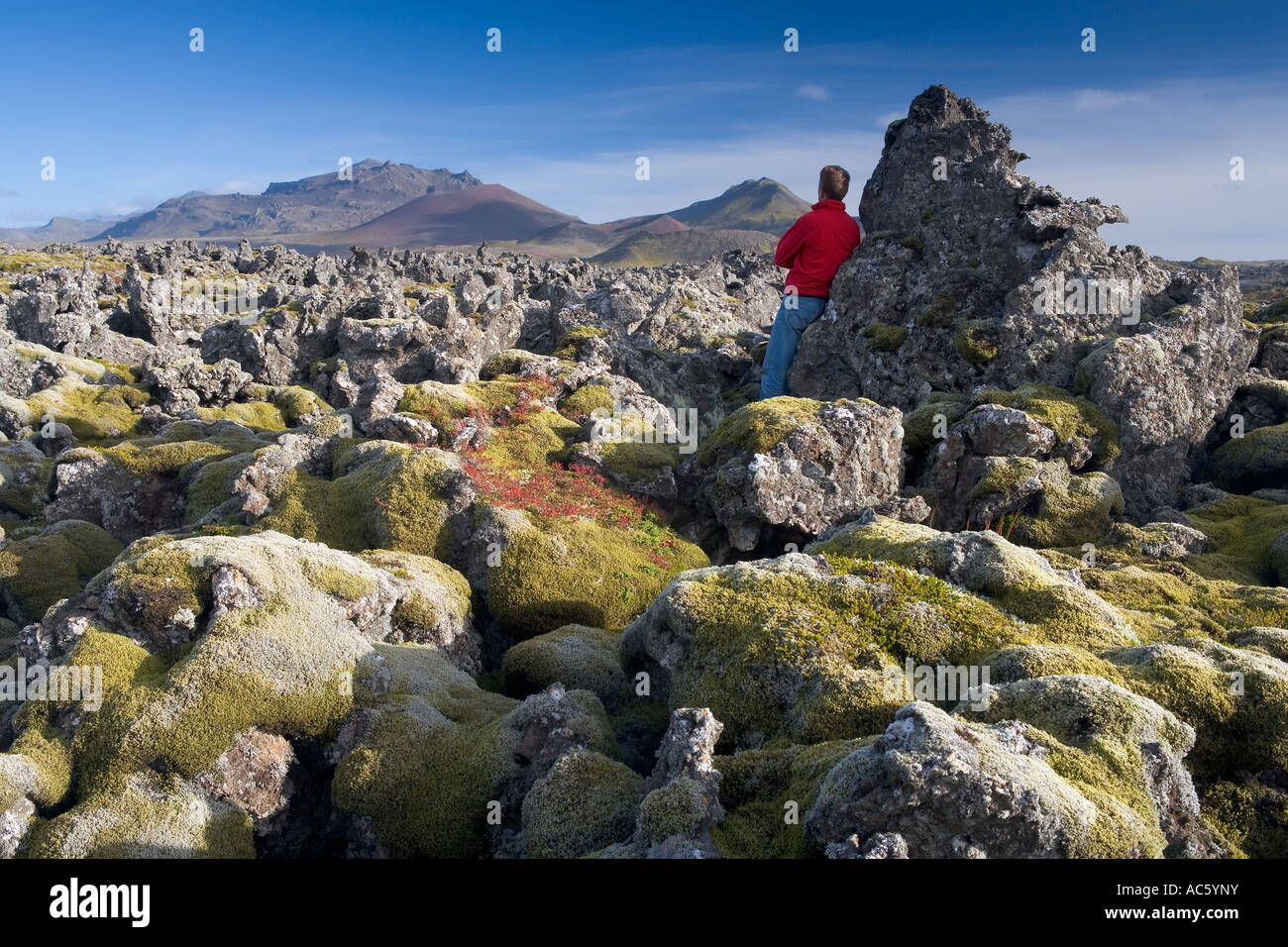 Volcanic Lava Snaefellsnes Peninsula Iceland Stock Photo - Alamy