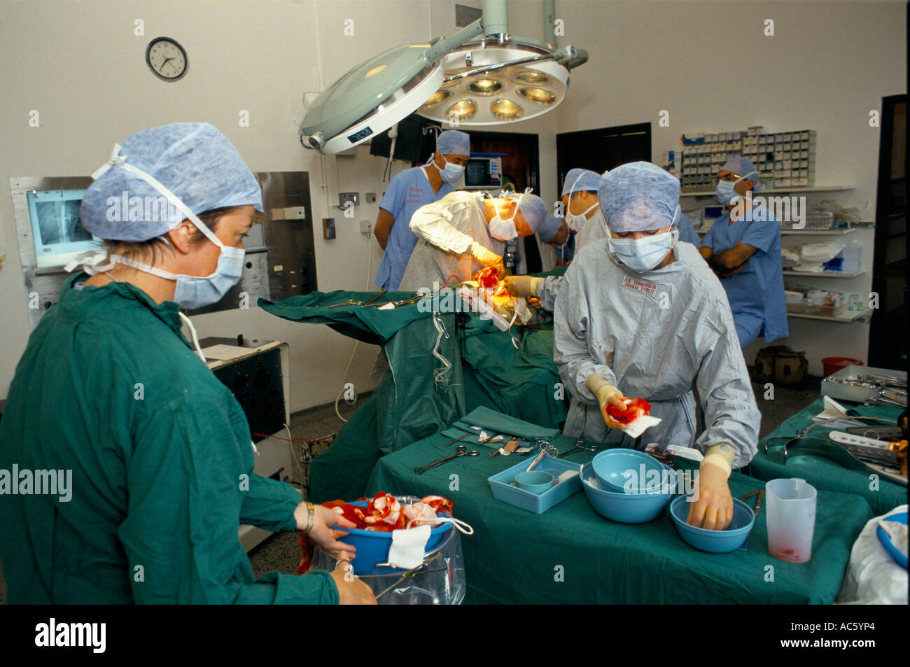 Kidney health test hi-res stock photography and images - Alamy