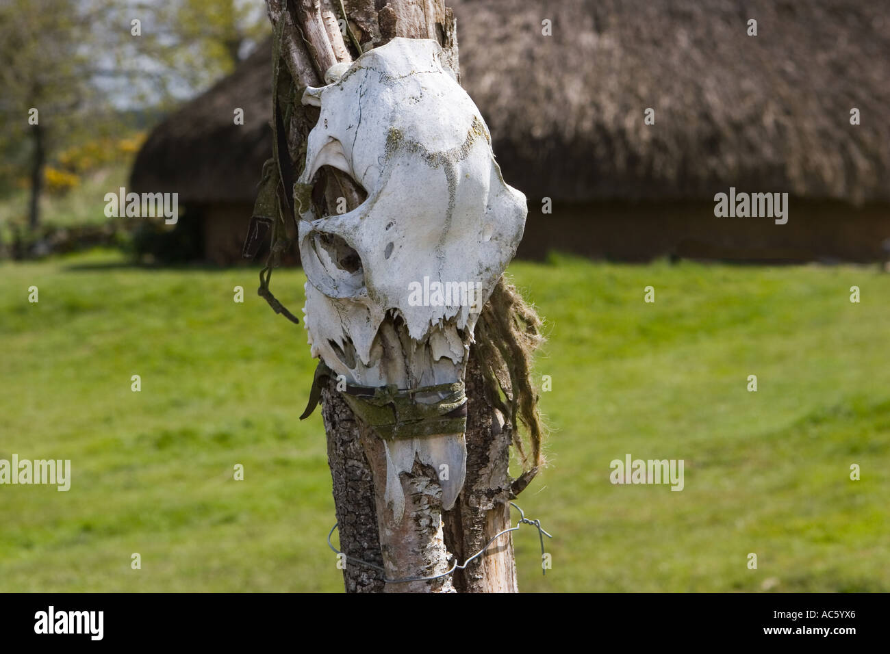 Mesolithic age hi-res stock photography and images - Alamy