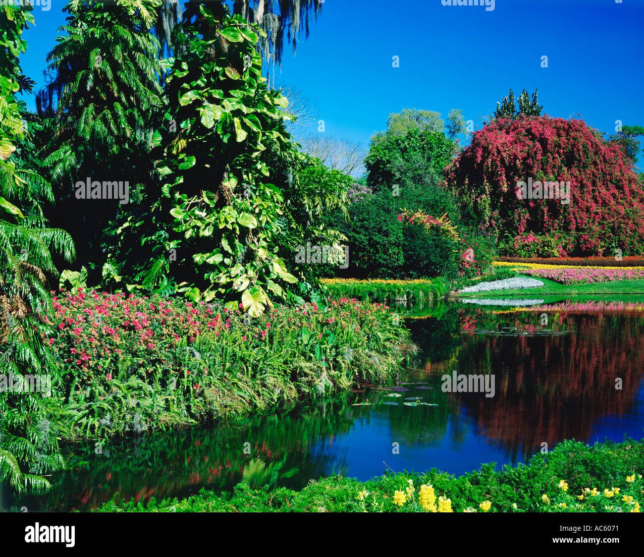 Cypress gardens theme park hi-res stock photography and images - Alamy