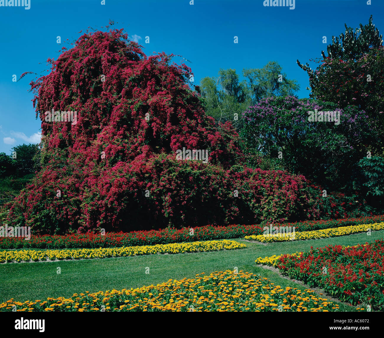 Cypress gardens theme park hi-res stock photography and images - Alamy