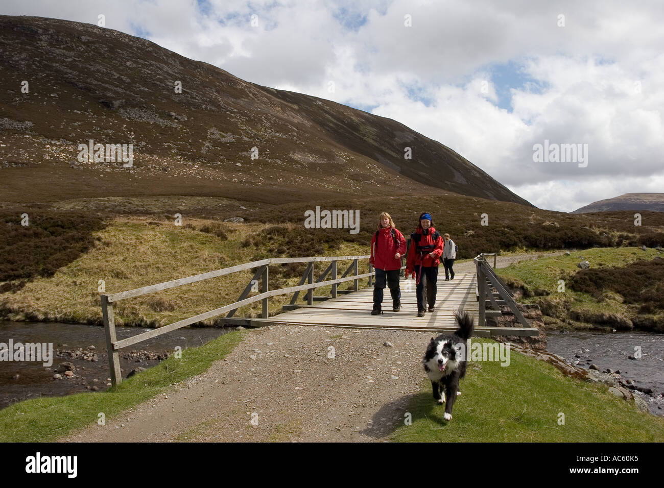 Dog walkers at Callater Loch and Callater Burn, Glen Clova in Braemar ...