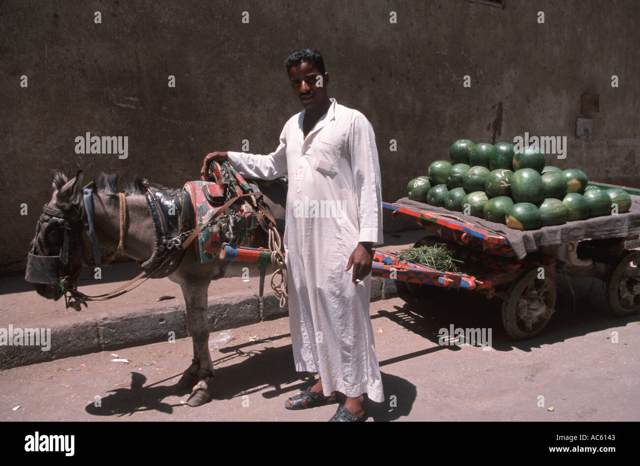 Watermelon seller with donkey and cart in Cairo Egypt Stock Photo - Alamy