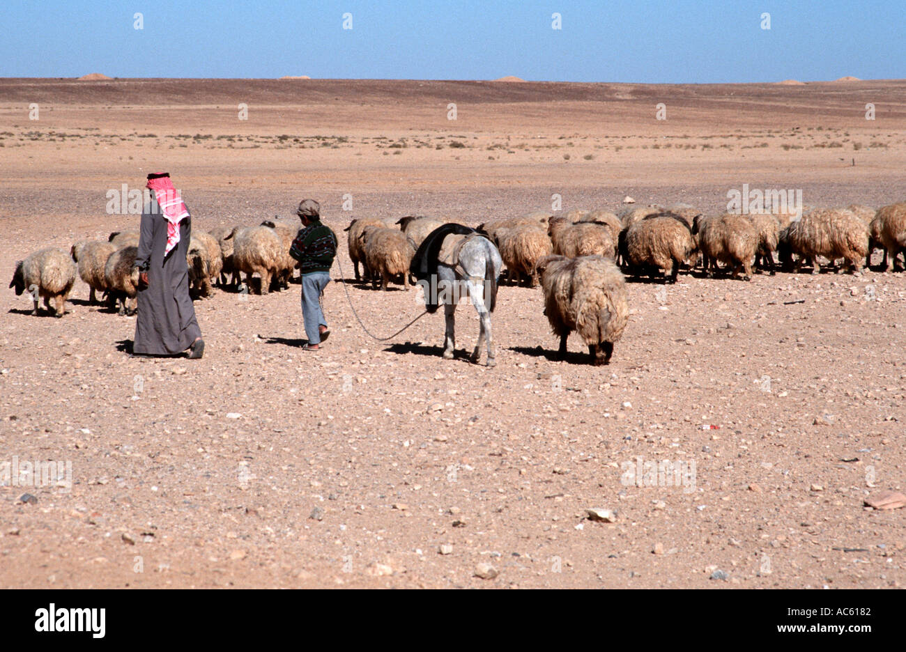 Flock and shepherds hi-res stock photography and images - Alamy
