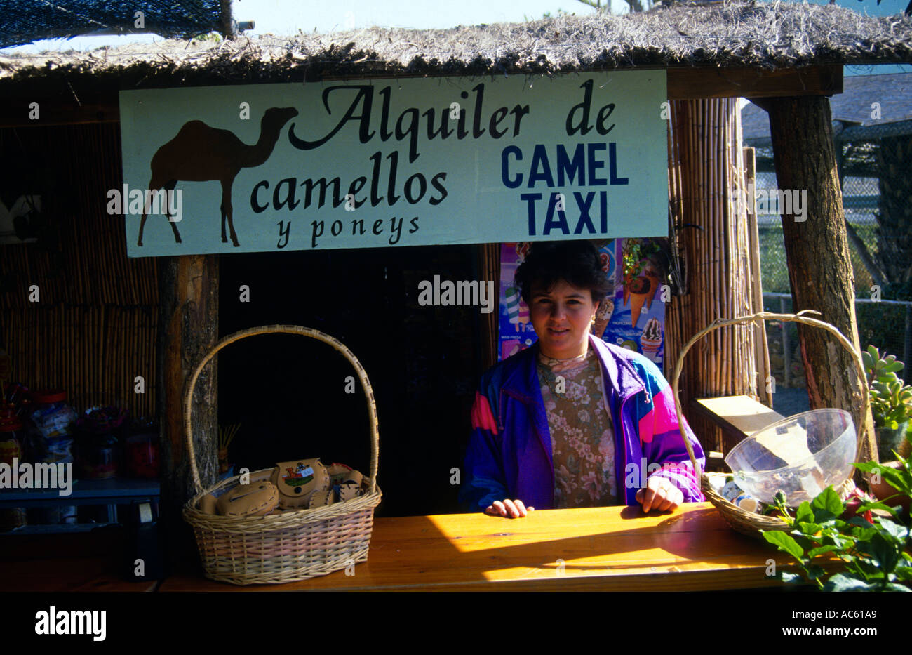 Camel taxi hi-res stock photography and images - Alamy