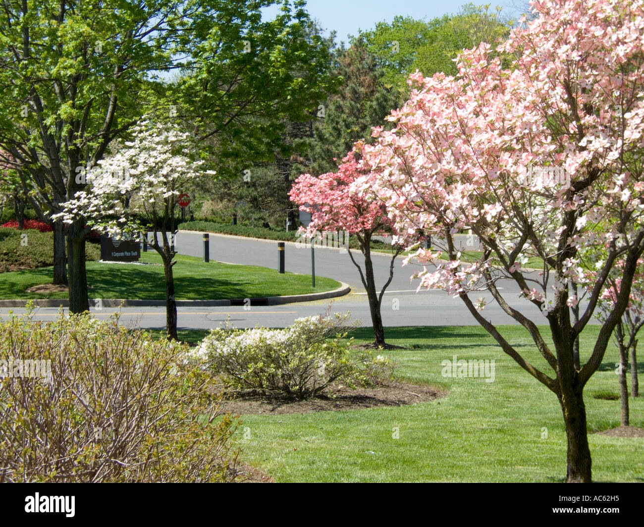 Corporate Park setting in spring Stock Photo - Alamy