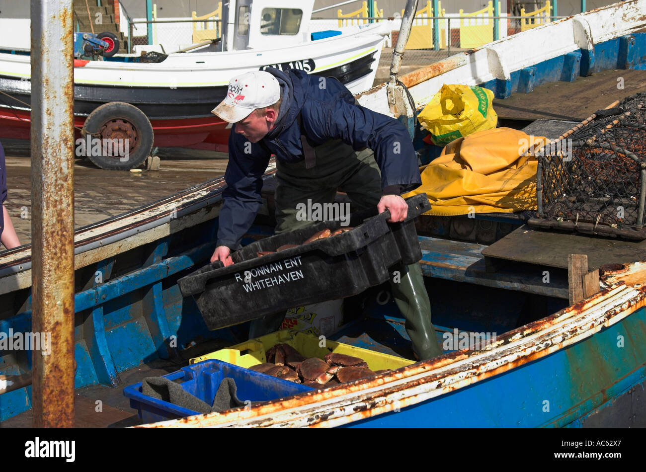 Coble fishermen unloading their catch after a fishing trip out to sea ...