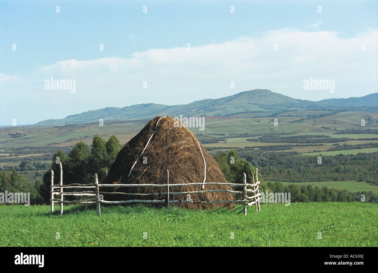Fenced haystack. Eltosh Mountain. Altai. Siberia. Russian Federation ...