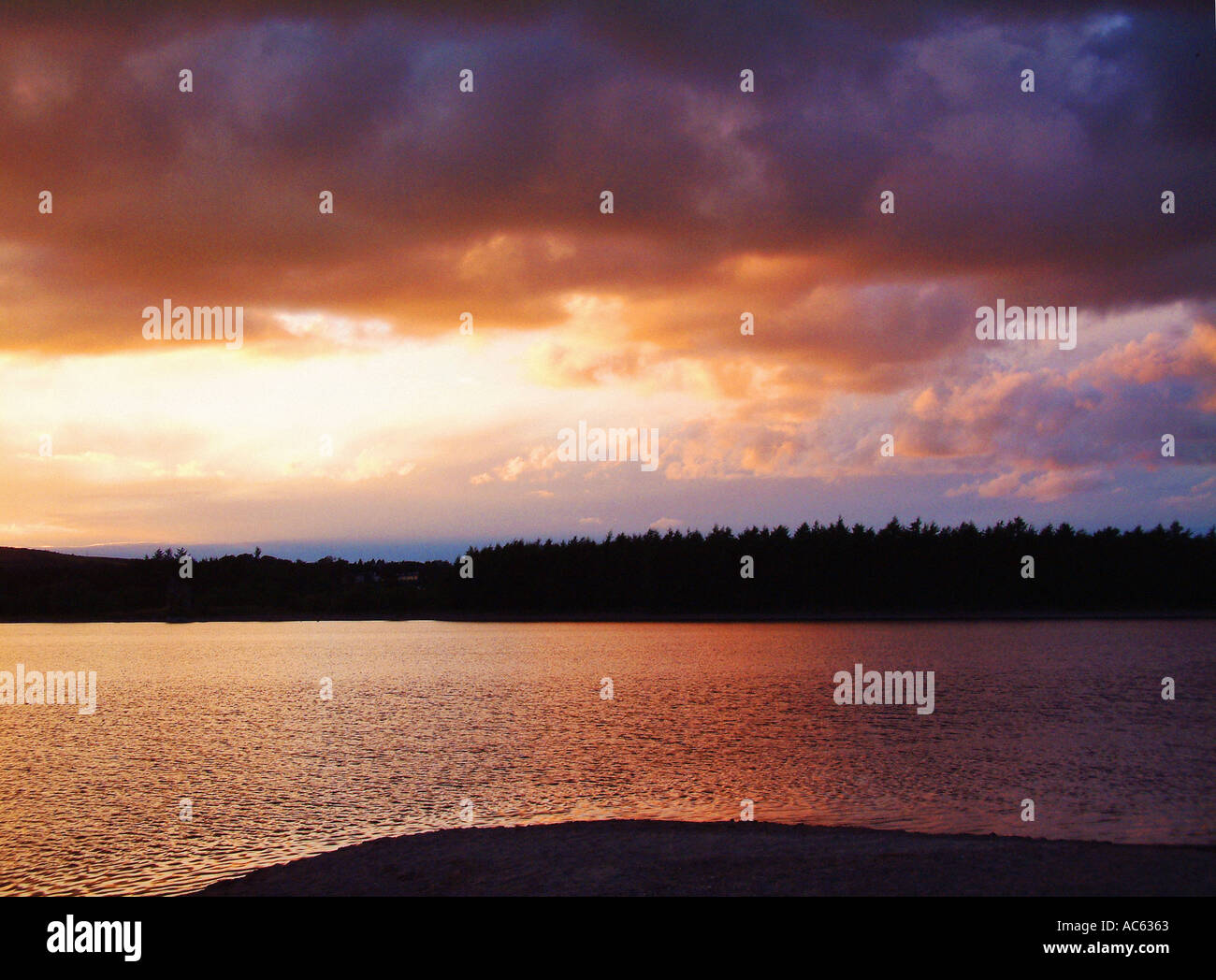 Pollaphuca hi-res stock photography and images - Alamy