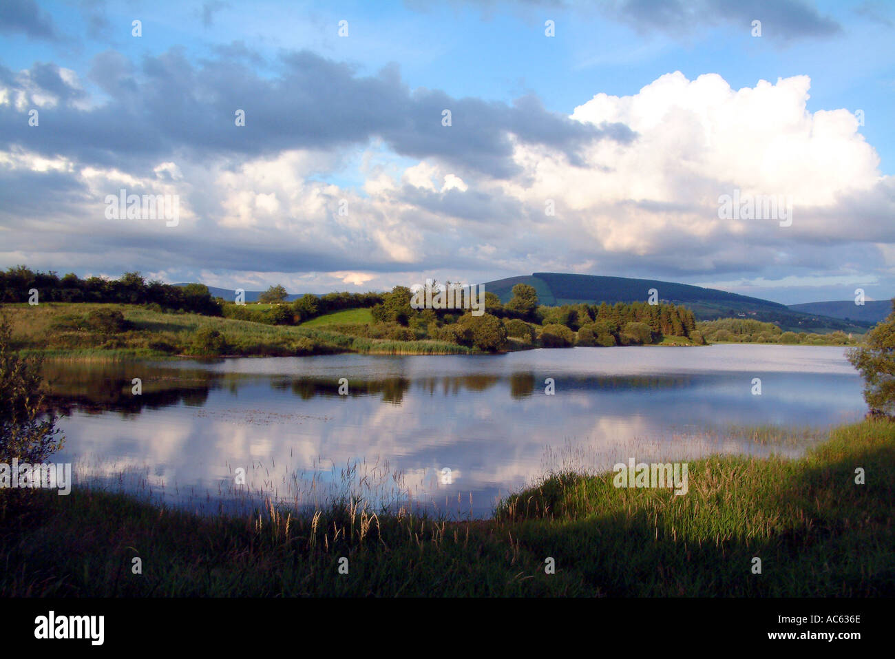 Pooka ireland hi-res stock photography and images - Alamy