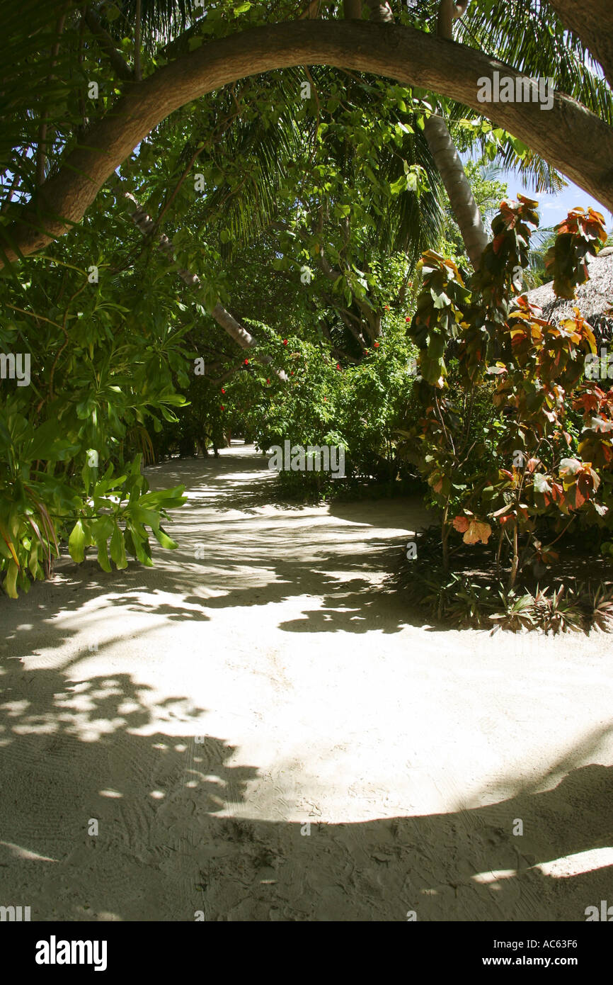 Sunny pathway on Baros Island Maldives Stock Photo - Alamy
