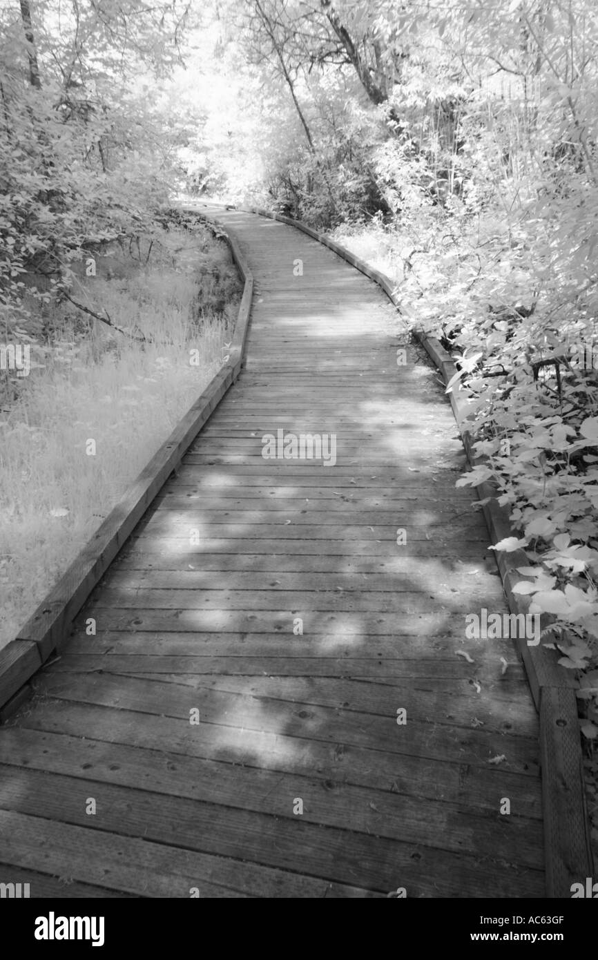 Mystical path Black and White Stock Photos & Images - Alamy