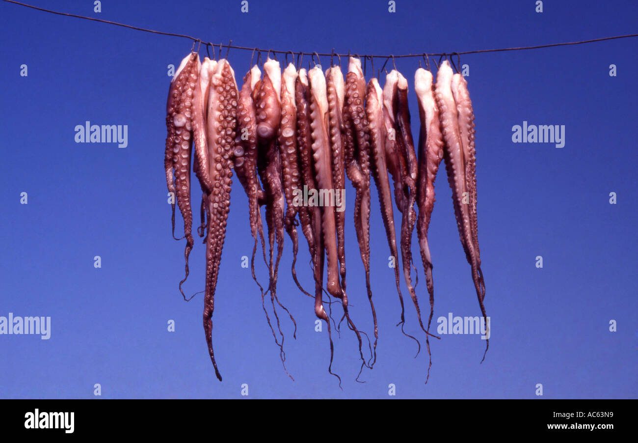 Octopuses hanging greek islands hi-res stock photography and images - Alamy