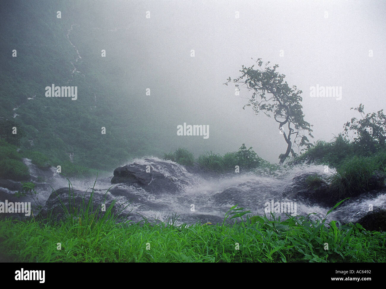 A waterfall in Matheran Maharashtra India Stock Photo - Alamy